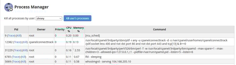 Understanding The WHM Process Manager | Hostwinds